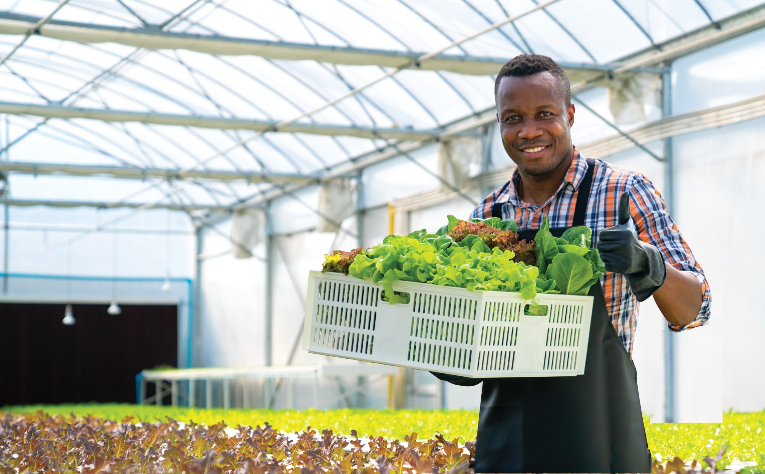 About Us - SupaO² is a unique water purification system. Learn more...